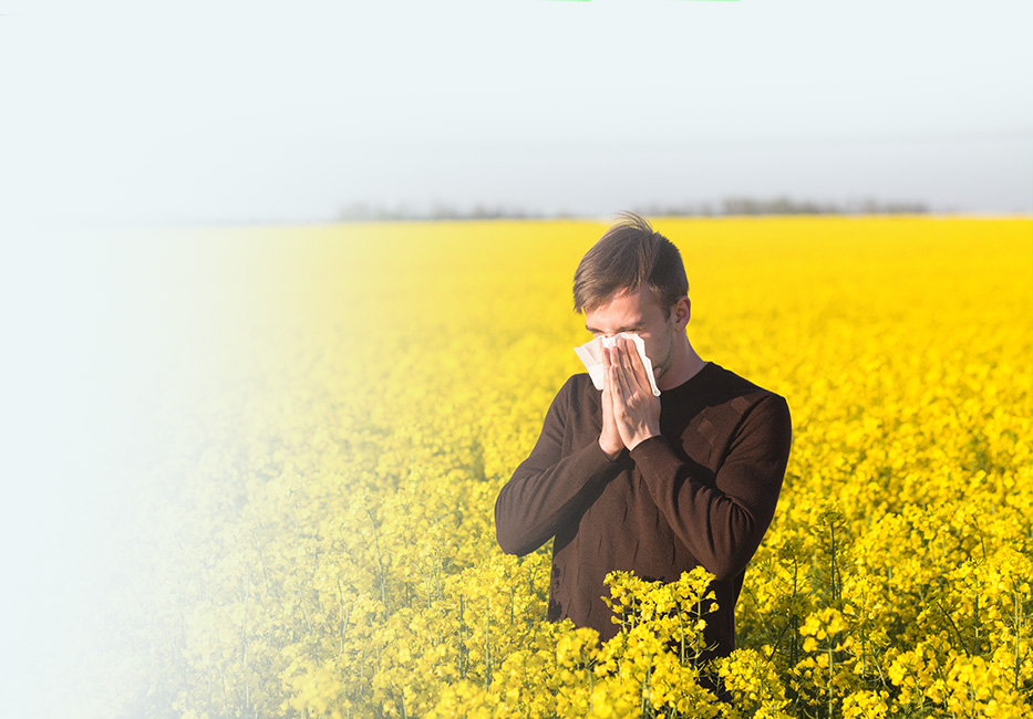 Buy Hay Fever Tablets | Hay Fever Treatment | UK Meds