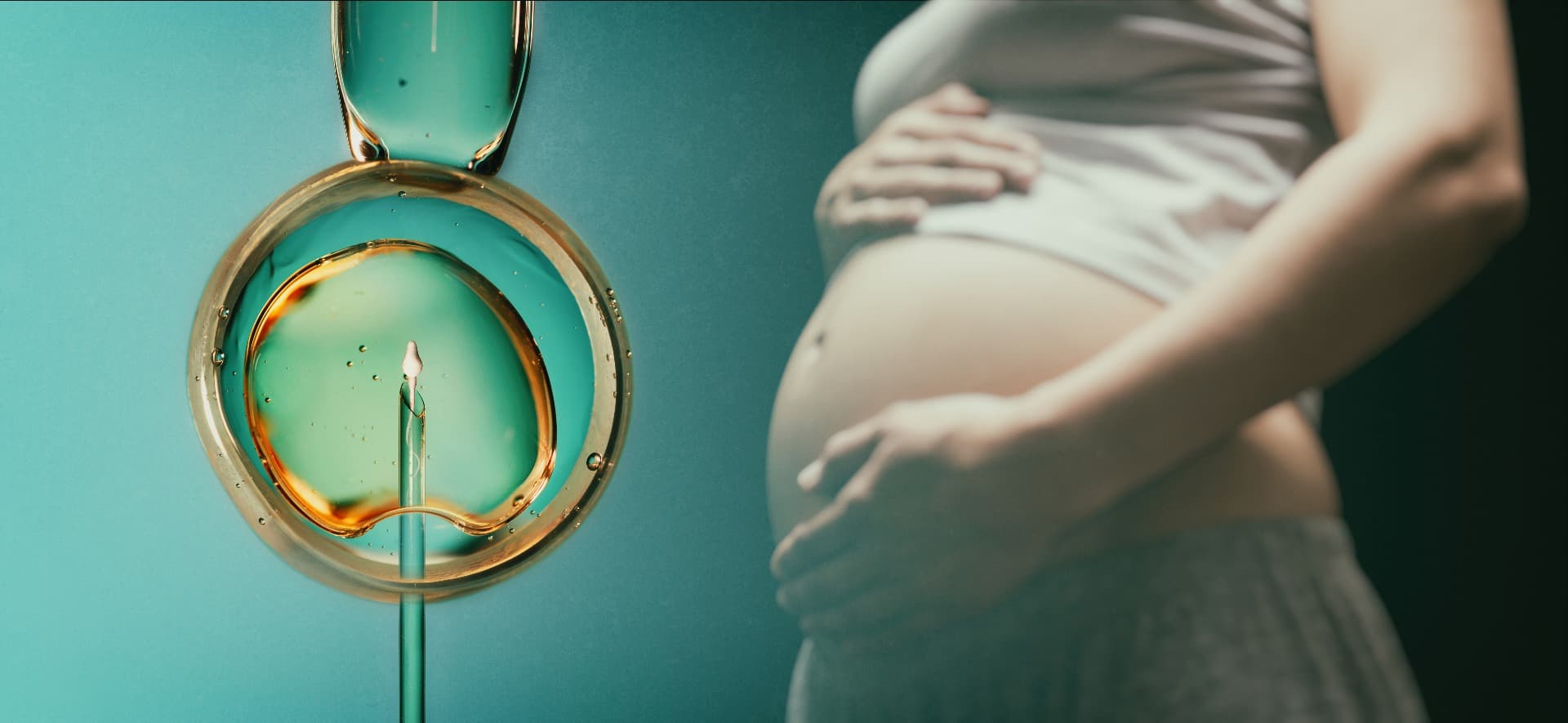 What Is Fertilisation? | UK Meds