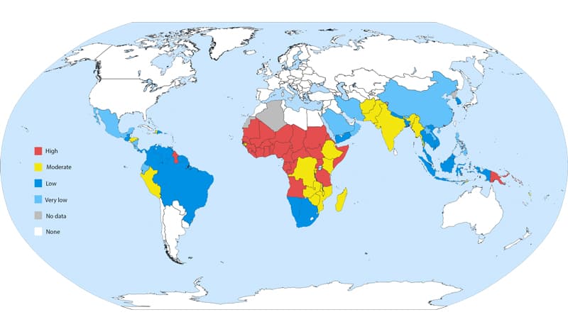Where Are The High Risk Areas For Malaria? | UK Meds