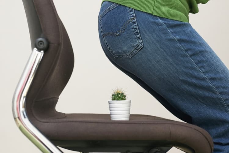 What is the best treatment for piles (haemorrhoids)?