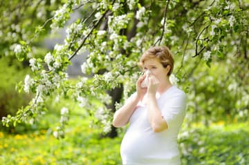 When is Hay Fever Season? A UK Pollen Guide: Pollen Types by Month UK